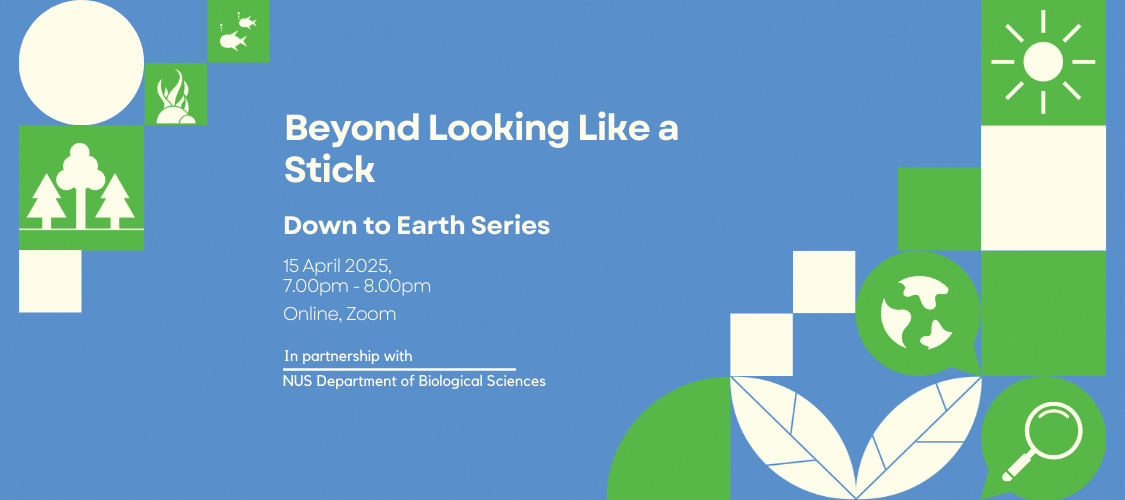 Community Programmes and Activities